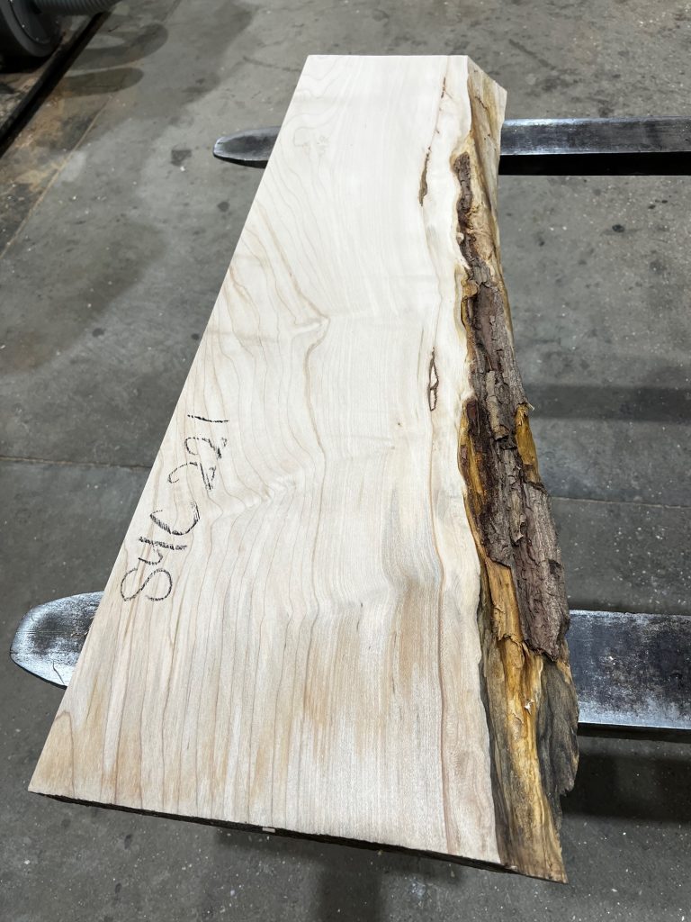 Sycamore #221 ⁄ Elephant Timber Supplies