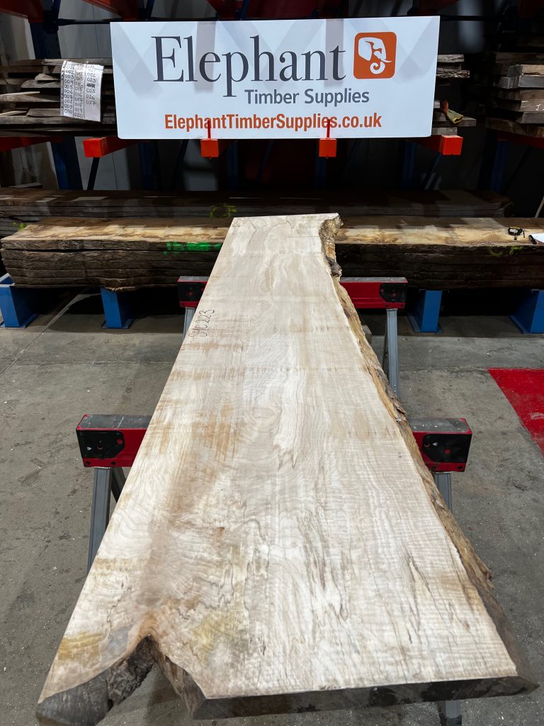 Sycamore #223 ⁄ Elephant Timber Supplies