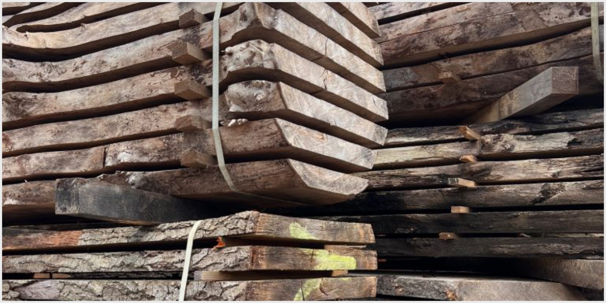 Our Live Edge Wood Drying Process | Elephant Timber
