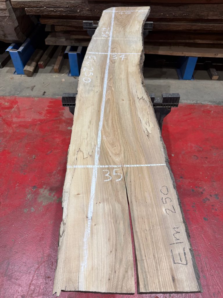 Elm #250 ⁄ Elephant Timber Supplies