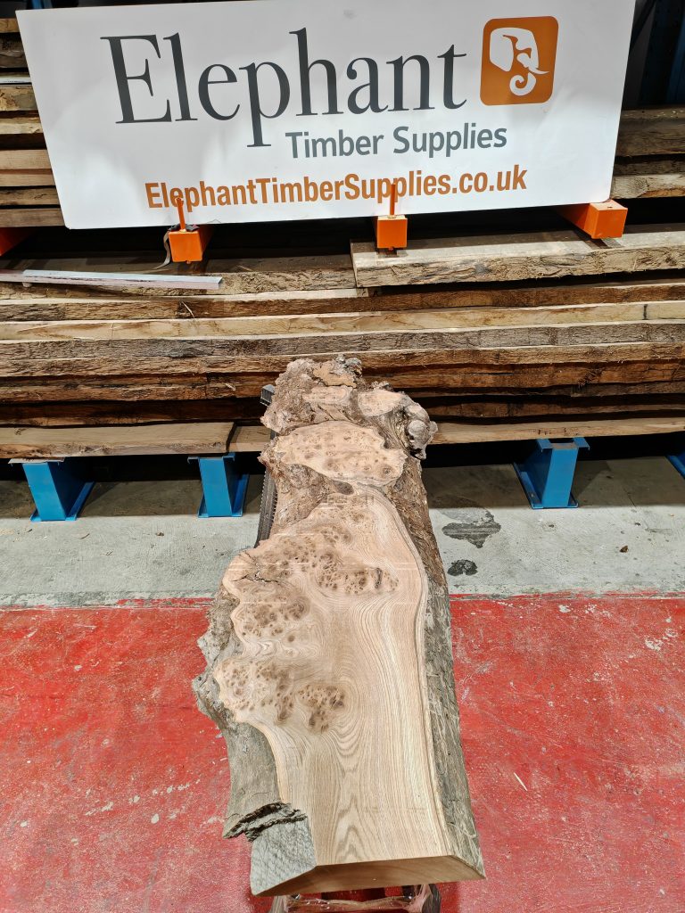 Burr Elm #255 ⁄ Elephant Timber Supplies