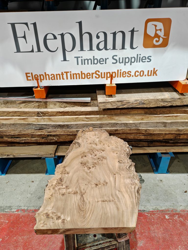 Burr Elm #256 ⁄ Elephant Timber Supplies