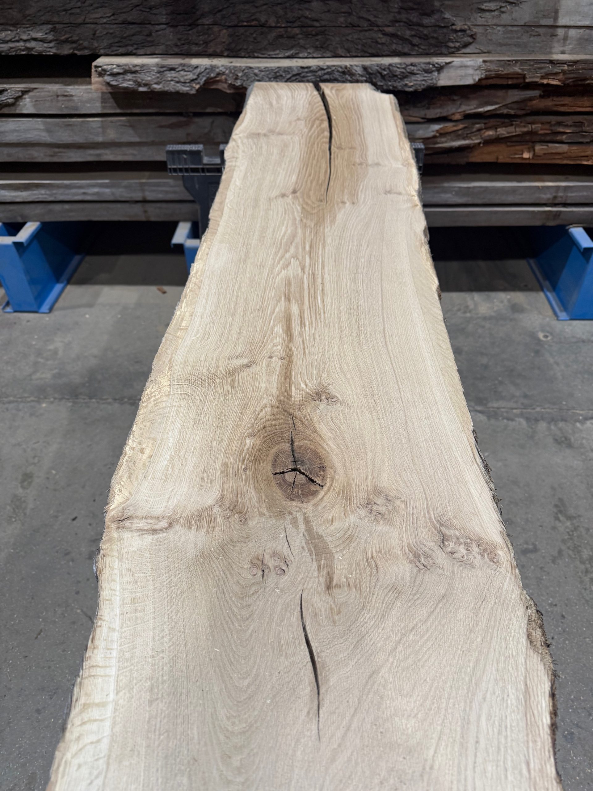 Oak #242 ⁄ Elephant Timber Supplies
