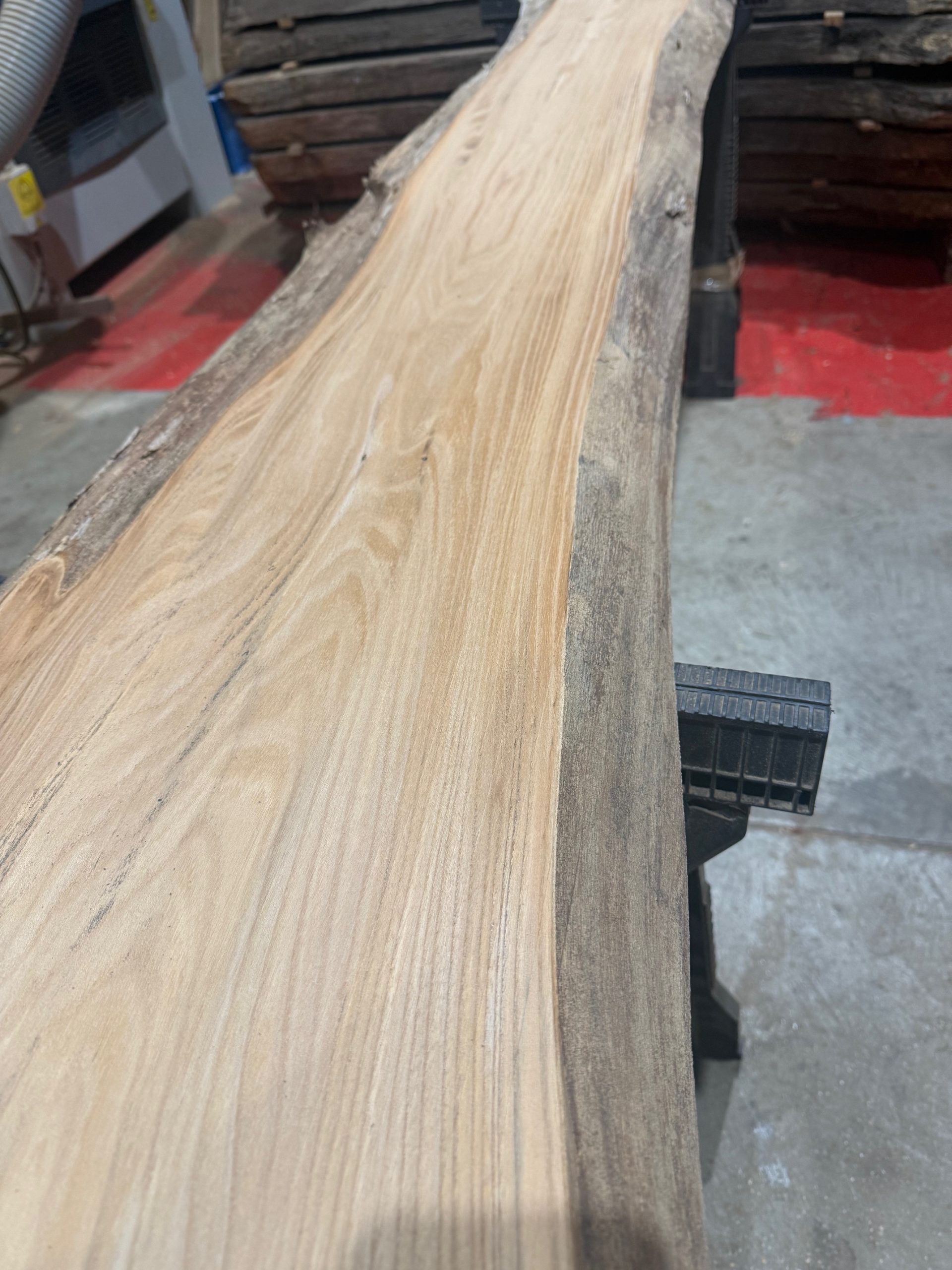 Elm #271 ⁄ Elephant Timber Supplies