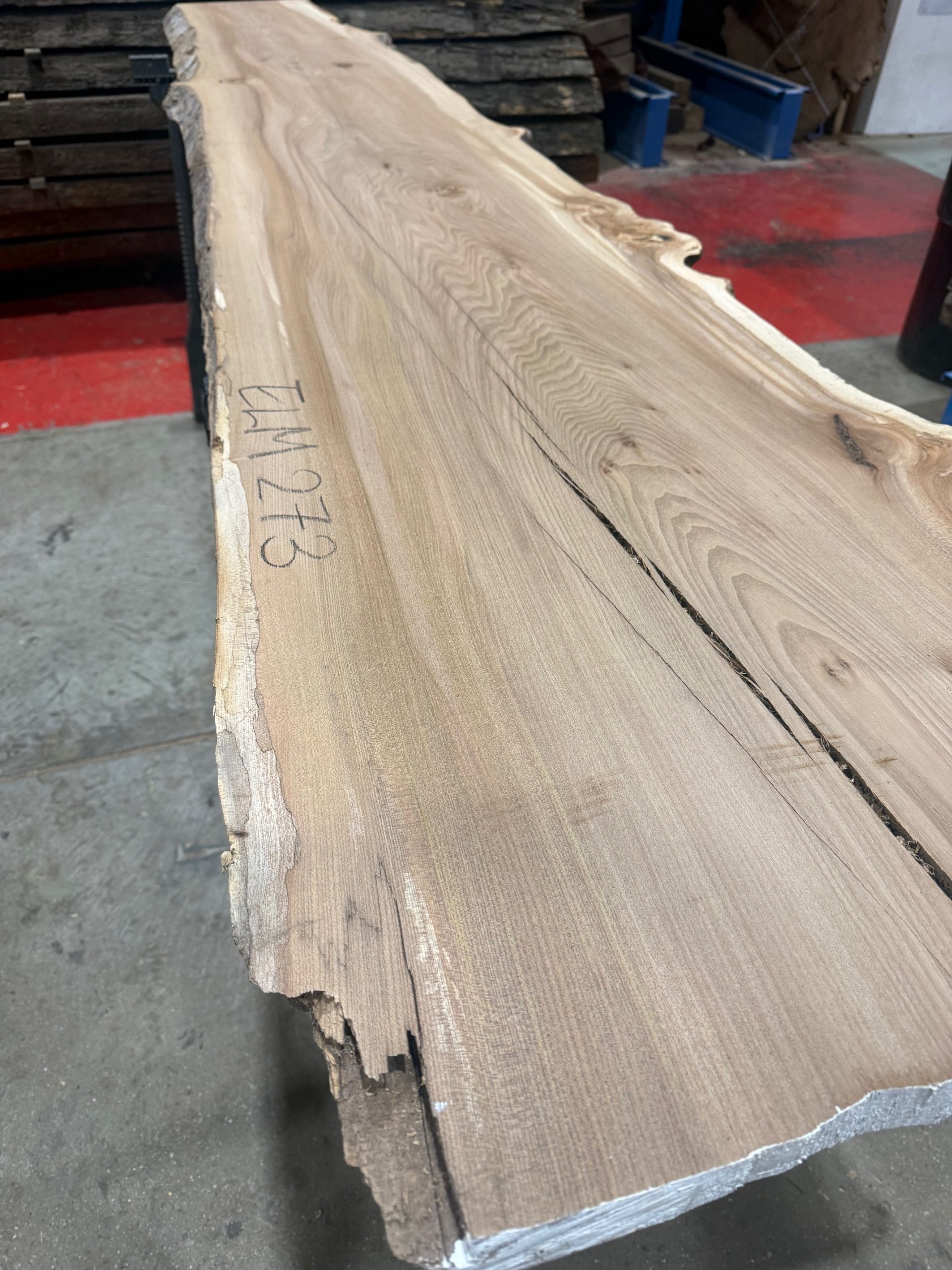 Elm #273 ⁄ Elephant Timber Supplies