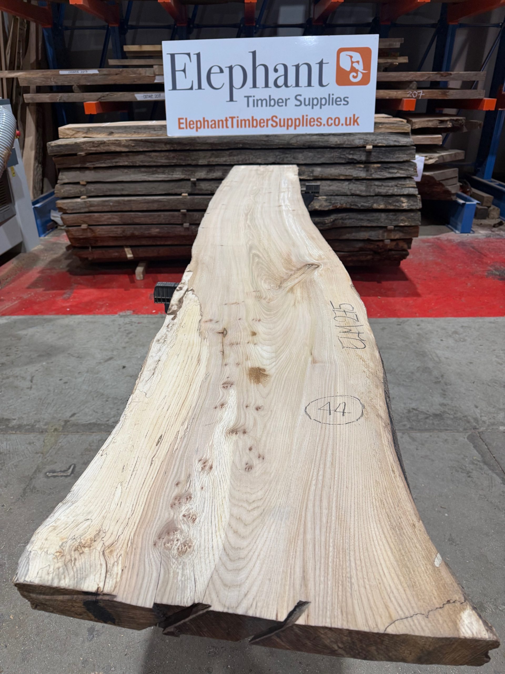Elm #275 ⁄ Elephant Timber Supplies