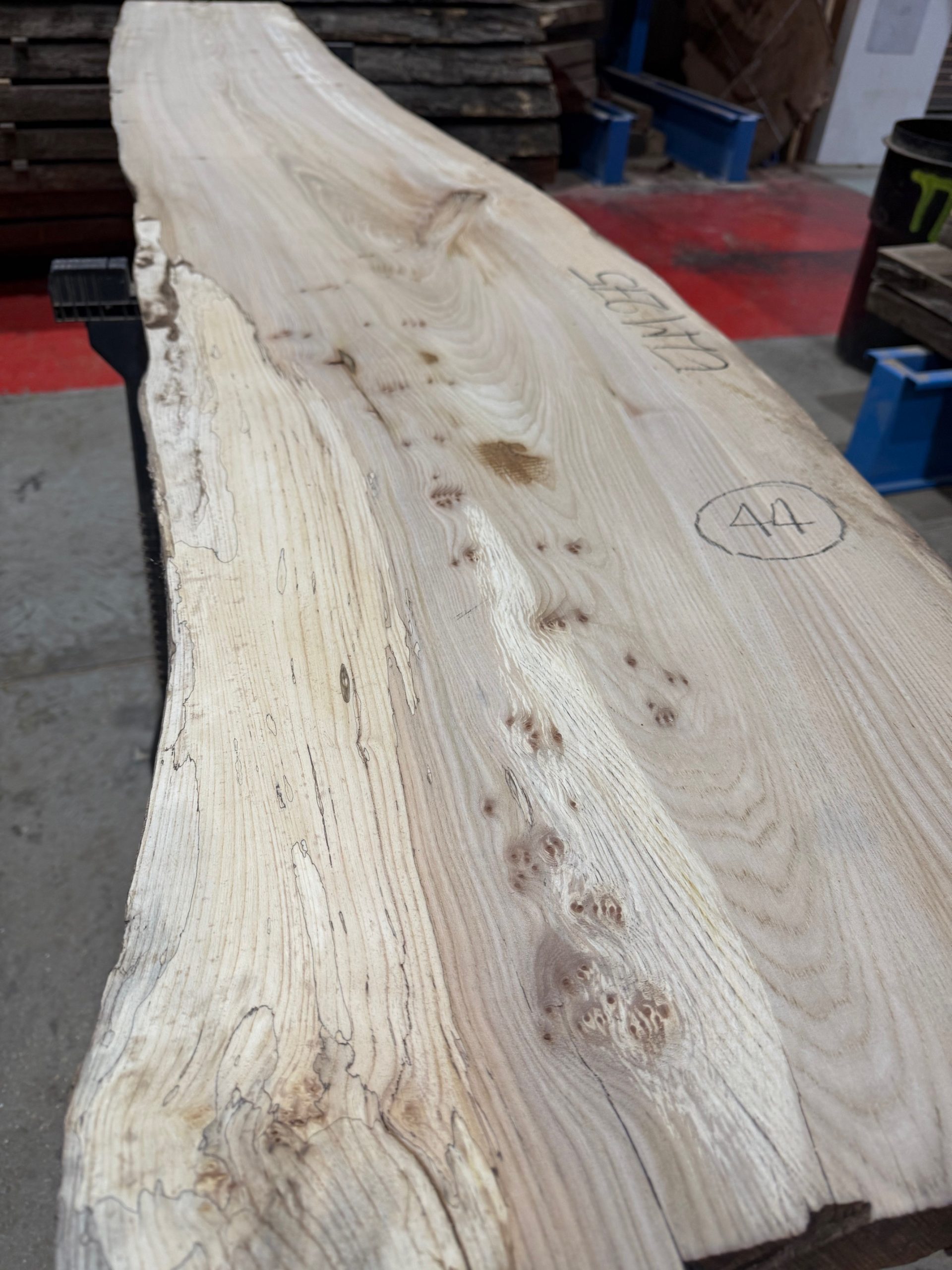 Elm #275 ⁄ Elephant Timber Supplies
